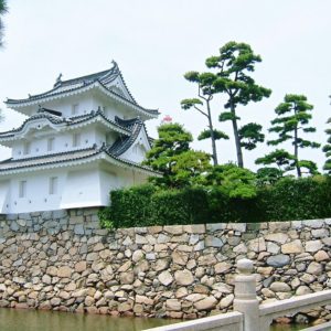 panacee.jp | 50代の生き方×暮らし方×働き方