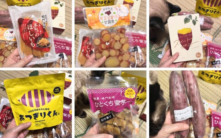 『パートのおばちゃん』やめました。 | panacee.jp